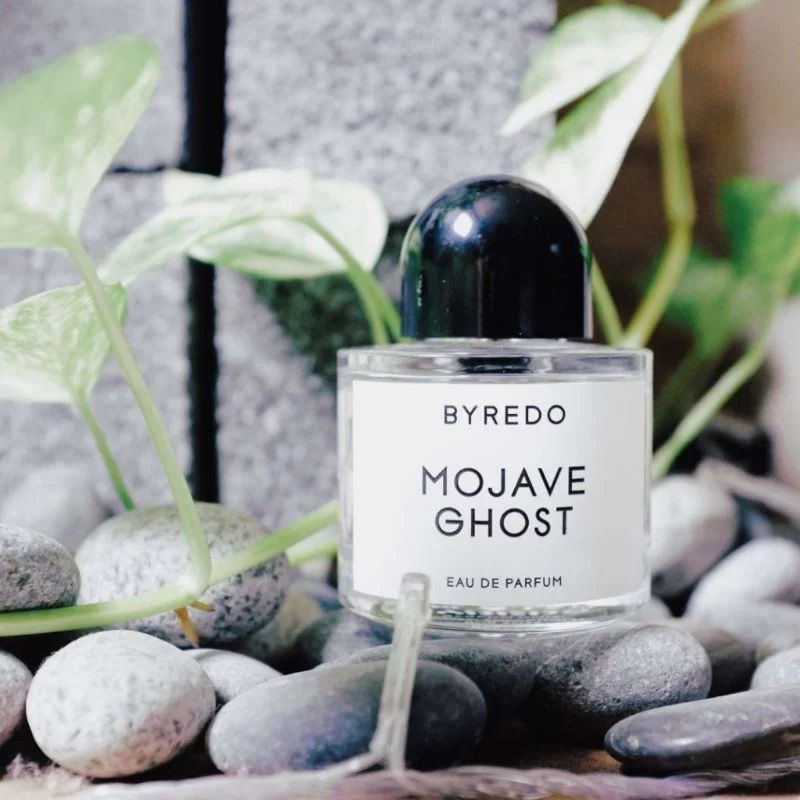 What Does Mojave Ghost Perfume Smell Like? A Complete Guide to Byredo’s ...